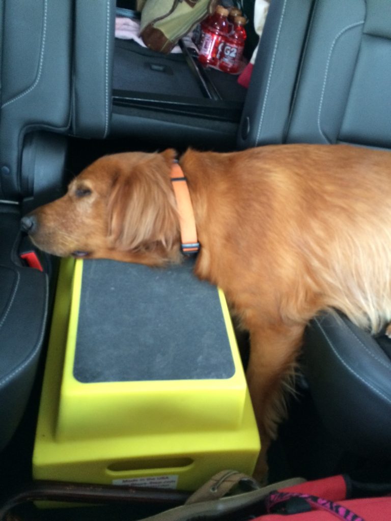 Shure-Step II Passenger Step | Shure-Step.com